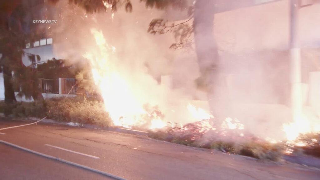 Curbside Tree and Brush Fire Leaves Scorch Marks on West Coast ...
